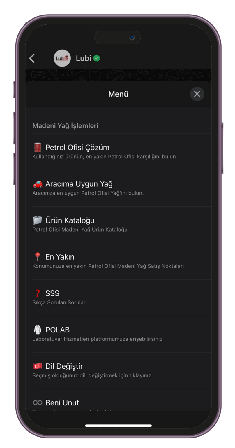 Lubi Digital Assistant | QSoft